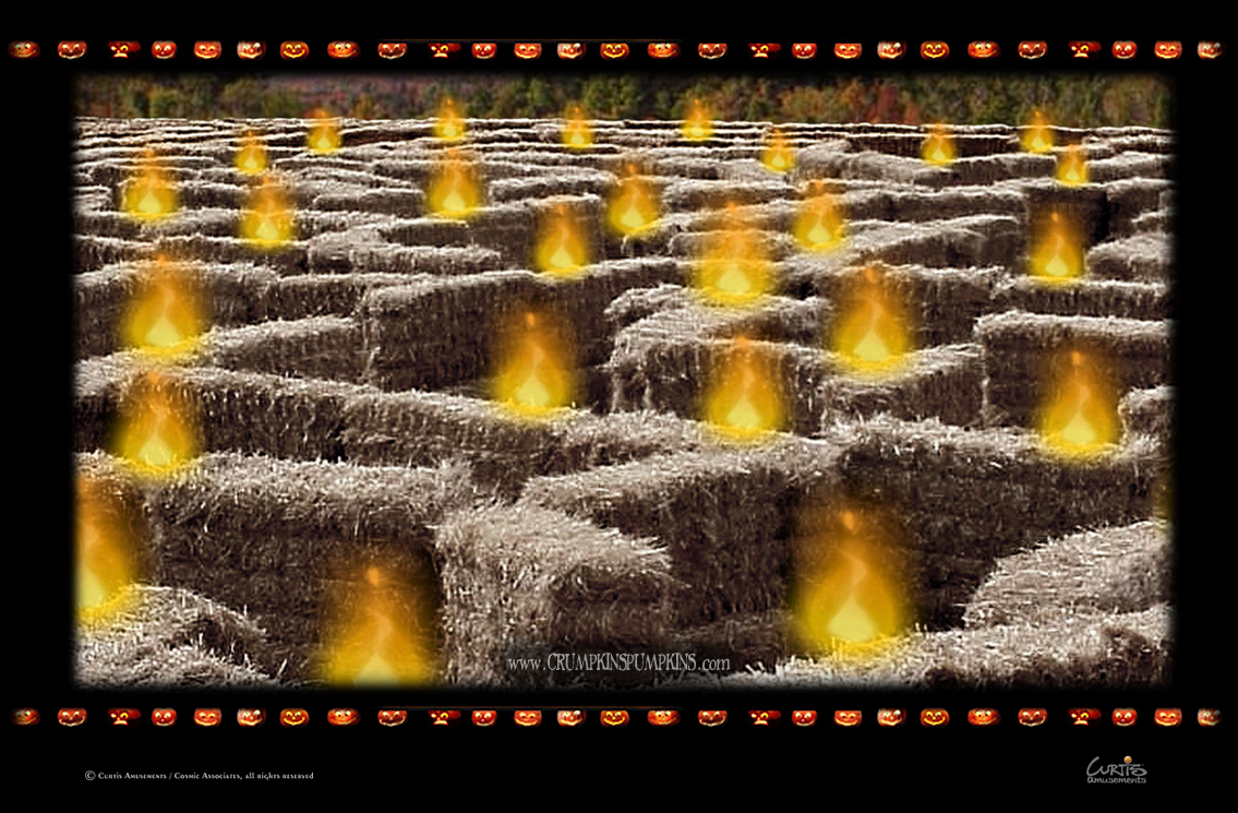Crumpkin's Pumpkins - The Patch's Poisonous Pumpkins Gallery - Wing 1 ...